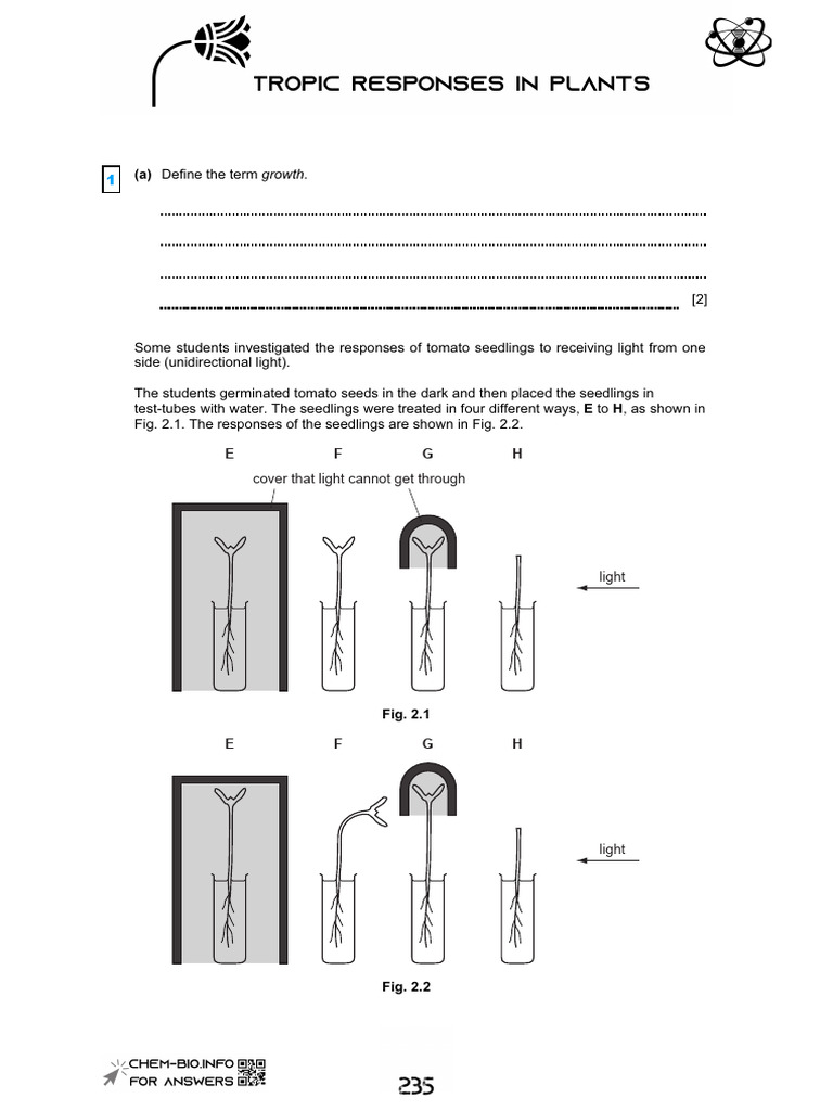 Plant Tropic Responses Explained | PDF | Seedling | Auxin