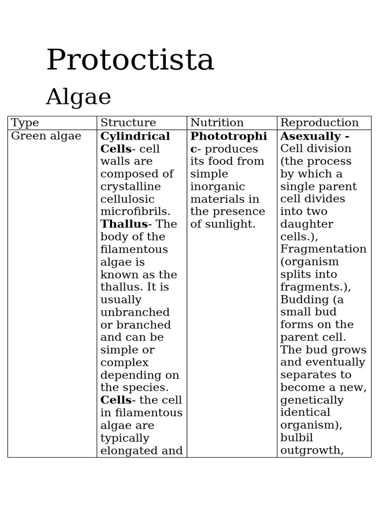 Bio Algae | PDF