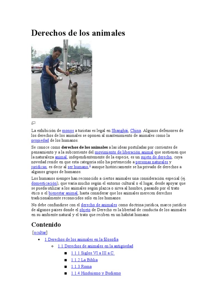 Derechos de Los Animales | Descargar gratis PDF | Derechos animales ...