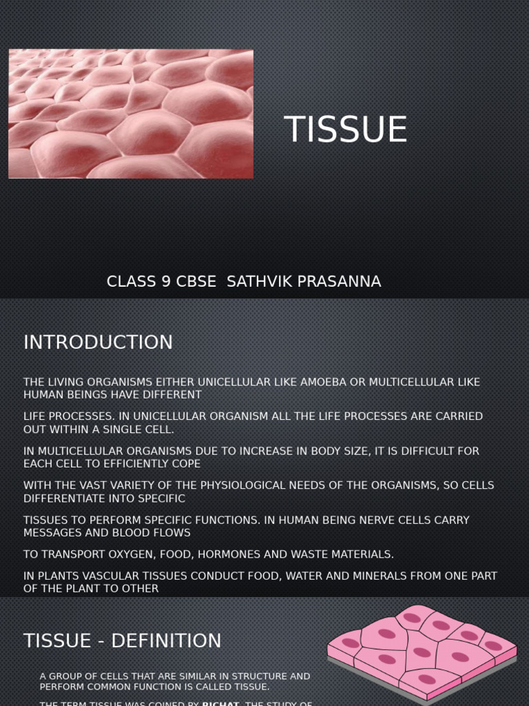 Tissue | PDF | Epithelium | Granulocyte