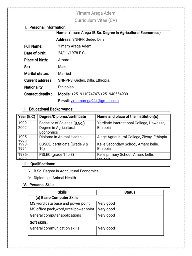 Yimam Arega CV Yimam Ra2 | PDF