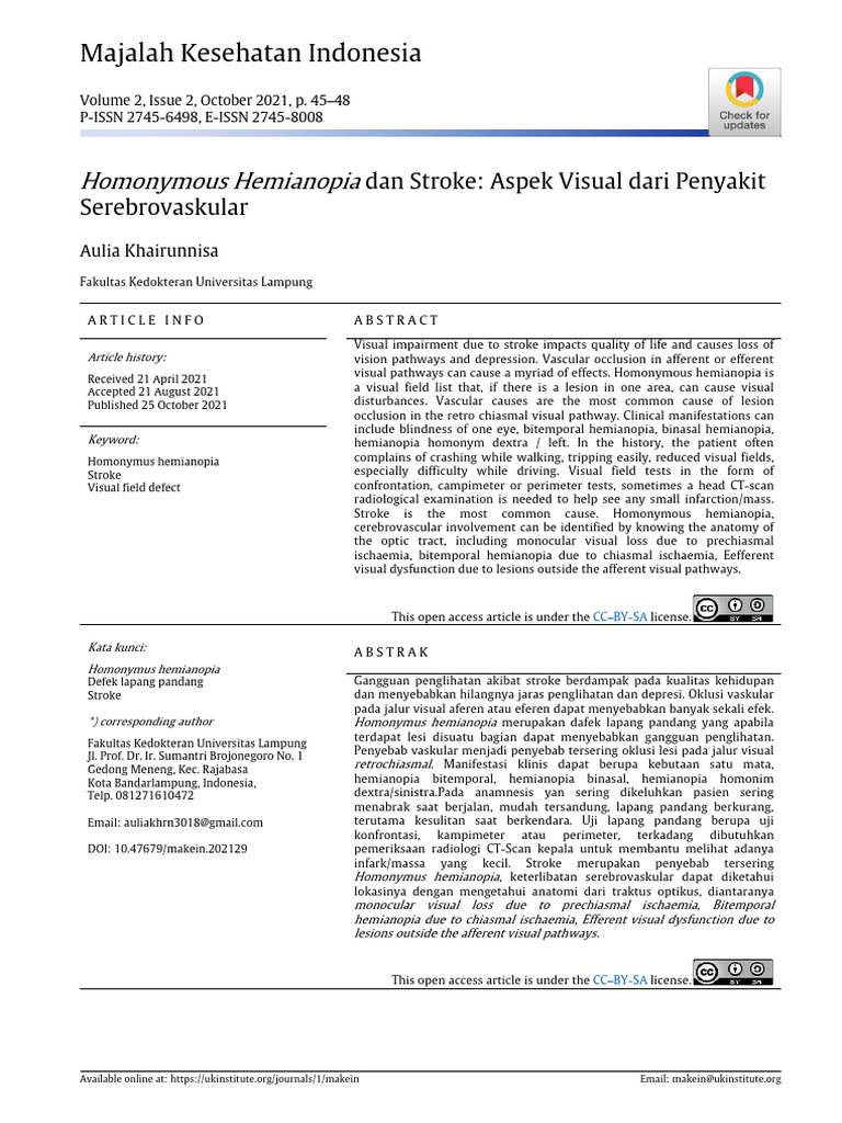 4-29 - Homonymous Hemianopia Dan Stroke - Aspek Visual Dari Penyakit ...