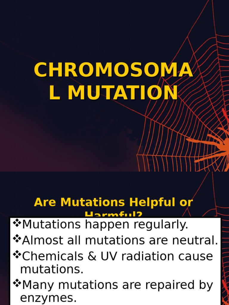 Types of Chromosomal Mutation | PDF | Mutation | Genetic Engineering