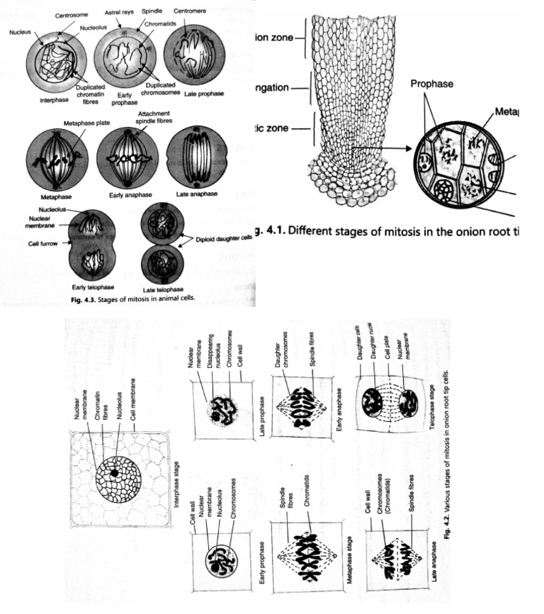 Spotter 4 Final | PDF