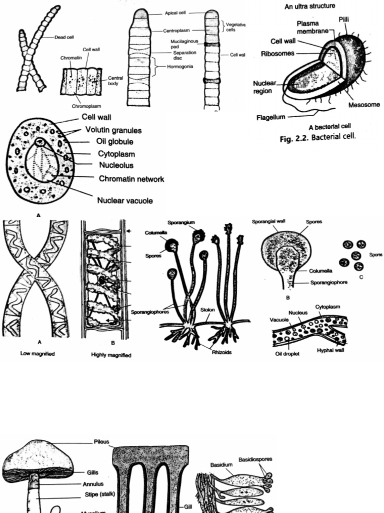 Spotters 2 Final | PDF