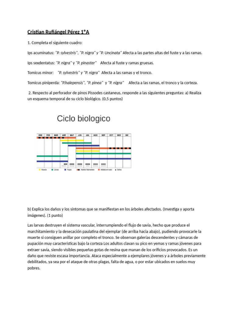 Examen Fito | PDF | Insectos | Arboles