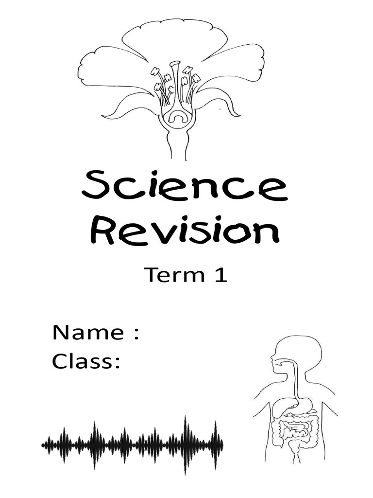 Science Revision | PDF | Flowers | Pollination