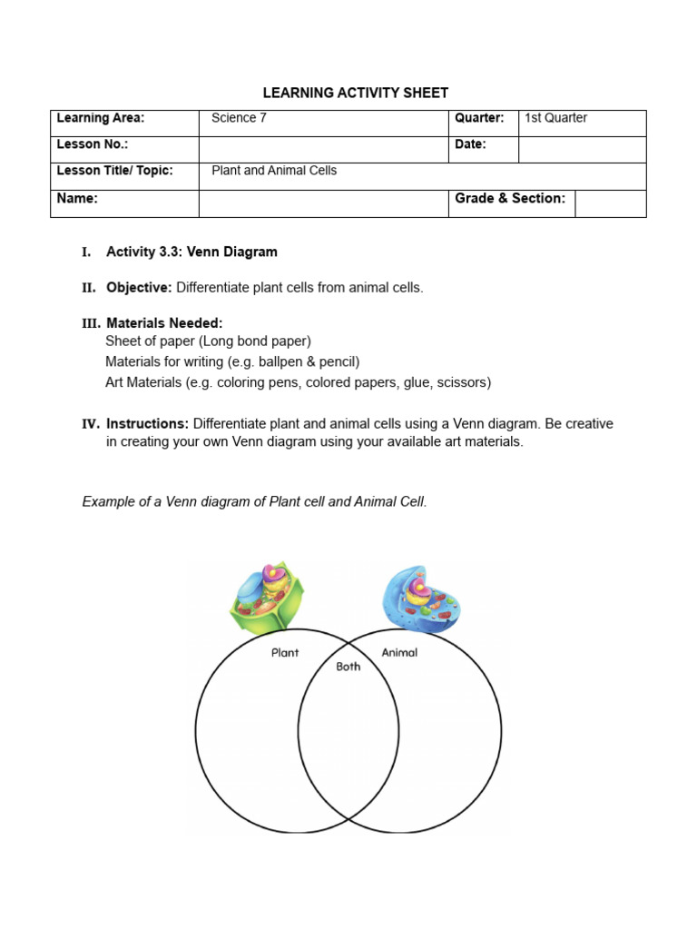 Plant and Animal Cell Activity Sheet | PDF