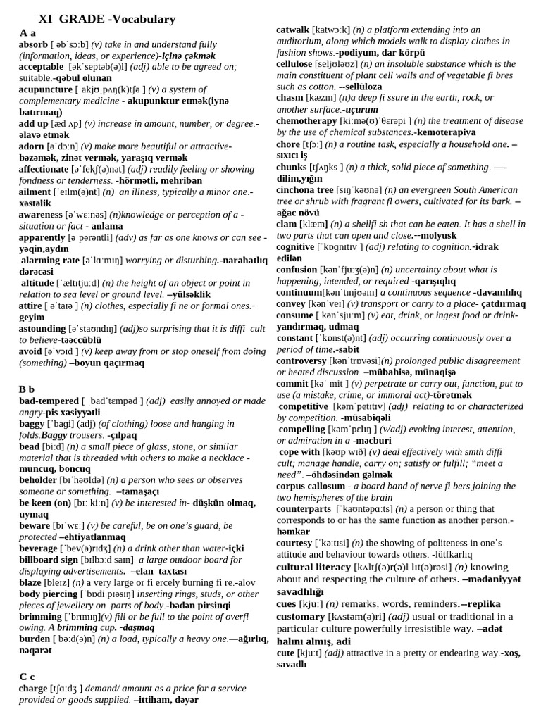 Grade 11 Vocabulary | PDF