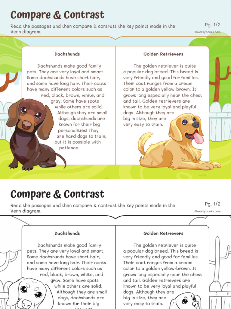 Compare & Contrast: Read The Passages and Then Compare & Contrast The ...
