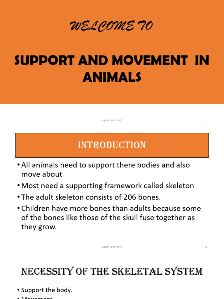 Support and Movement PDF | PDF | Vertebral Column | Skeleton