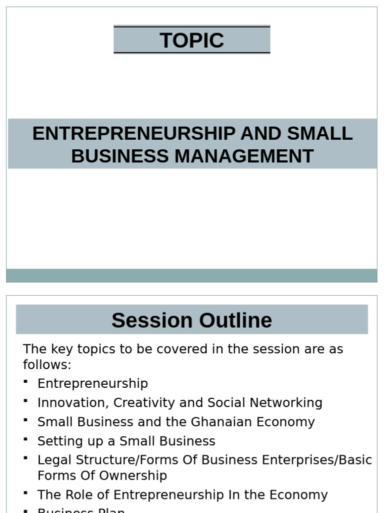 Entrepreneurship and Small Business Insights | PDF | Entrepreneurship ...