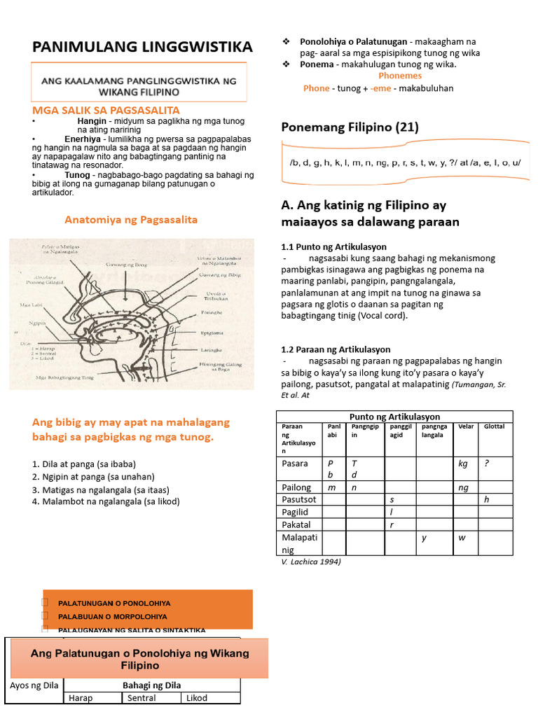 Panimulang Linggwistika Handout | PDF