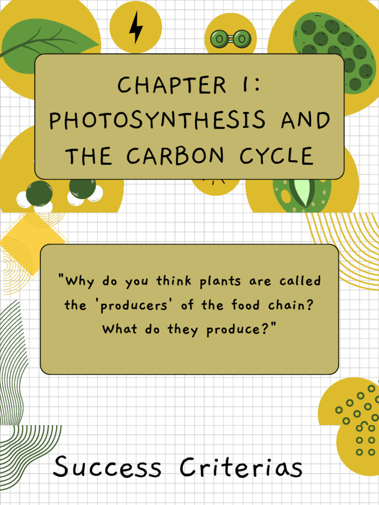 Photosynthesis and Carbon Cycle Explained | PDF | Photosynthesis | Leaf