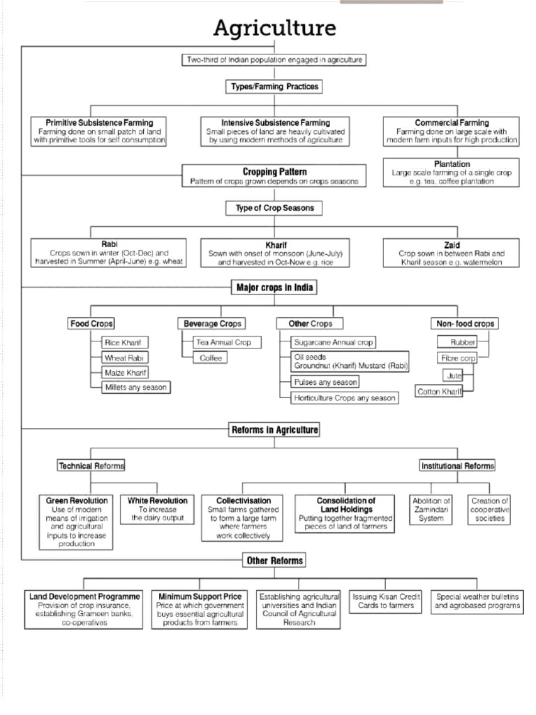 Agriculture Mind map | PDF | Agriculture | Crops