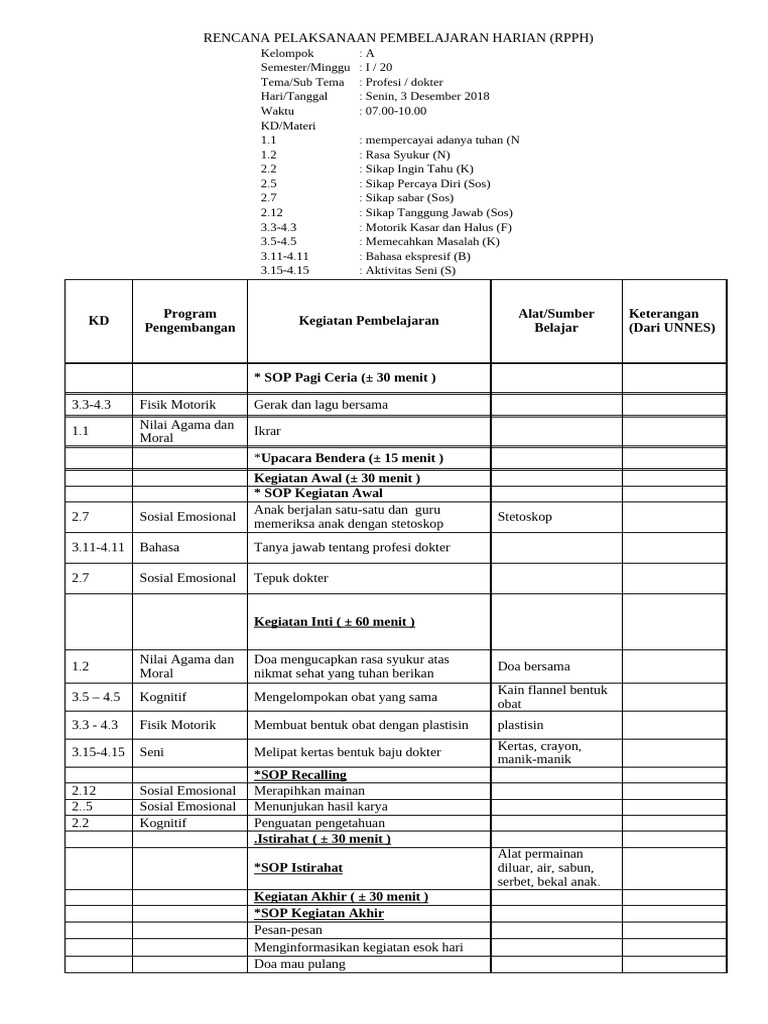 RPPH Tema Profesi Subtema Dokter | PDF