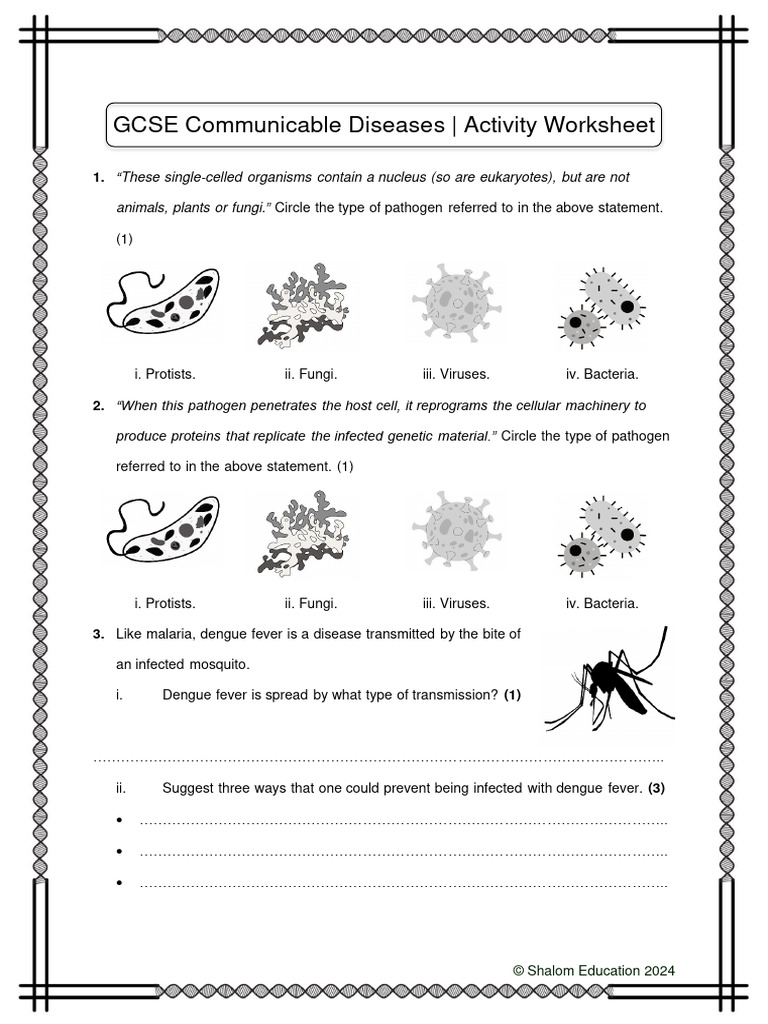 GCSE Communicable Diseases Worksheet | PDF