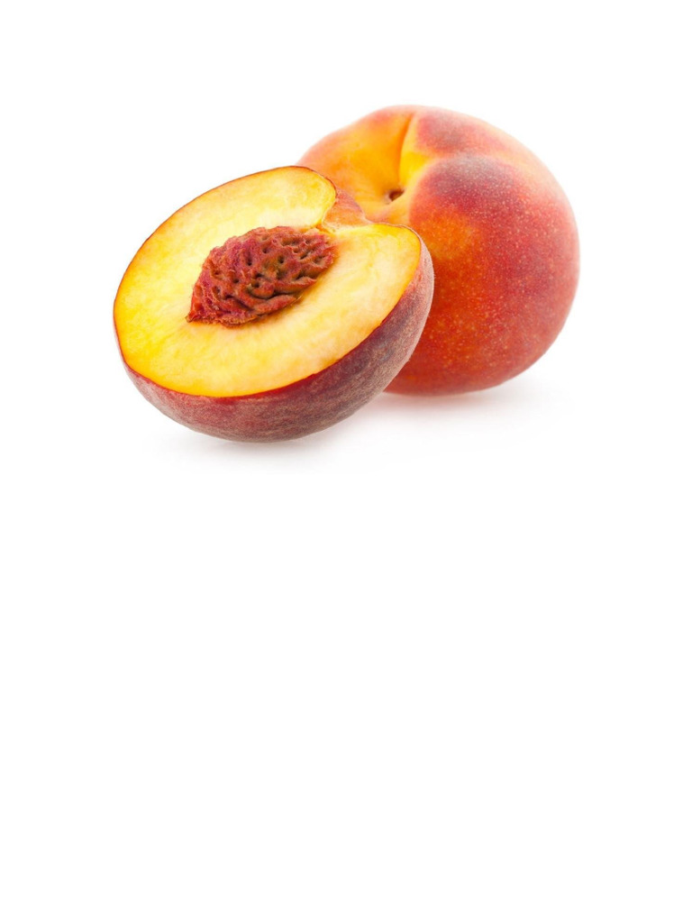 Pesca a pasta gialla | PDF