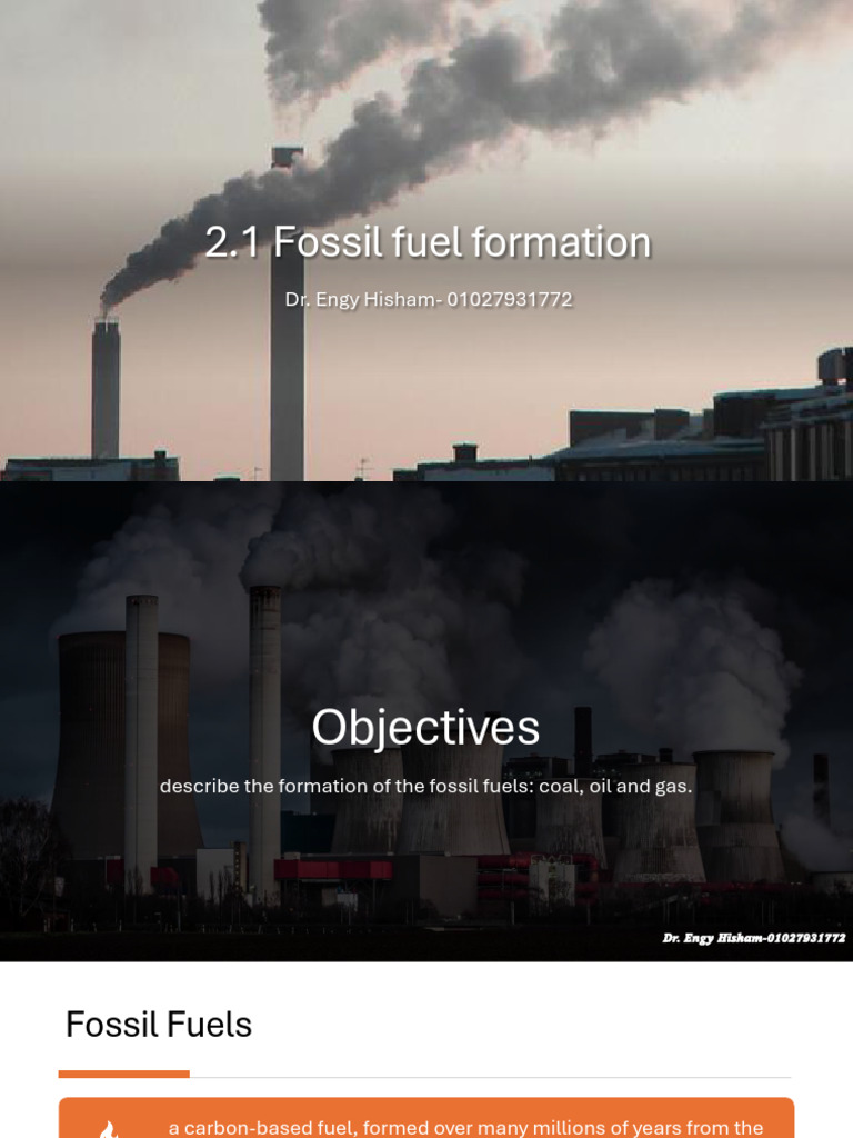 2.1 Fossil Fuel Formation | PDF