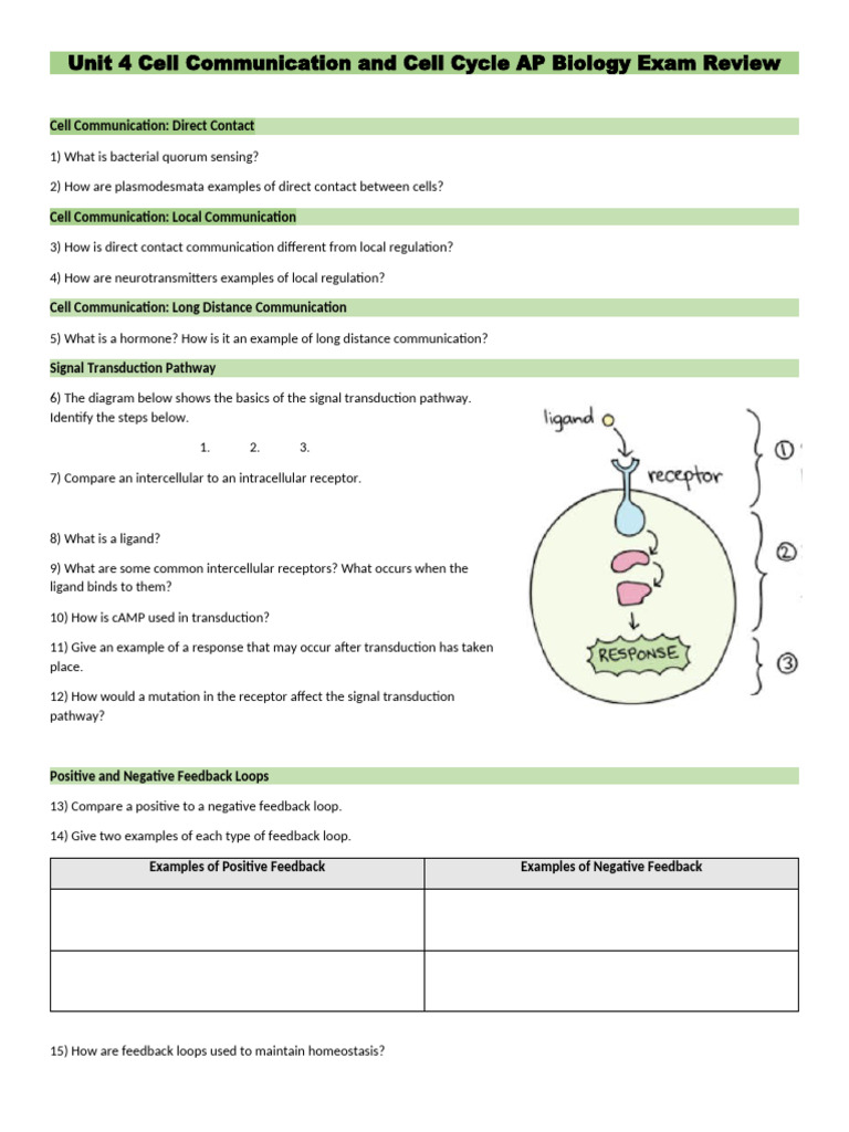 Unit 4 Cell Communication and Cell Cycle AP Bio Exam Review | PDF ...