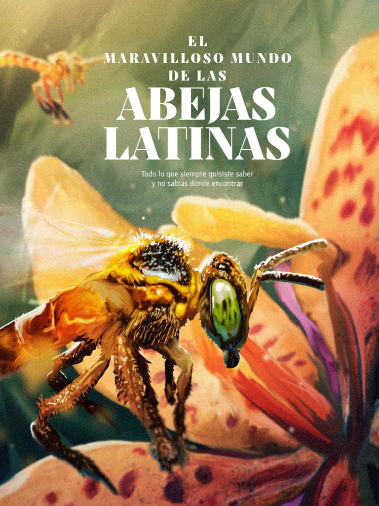 Maravillas de las Abejas Latinas | PDF | Western Honey Bee | Colmena