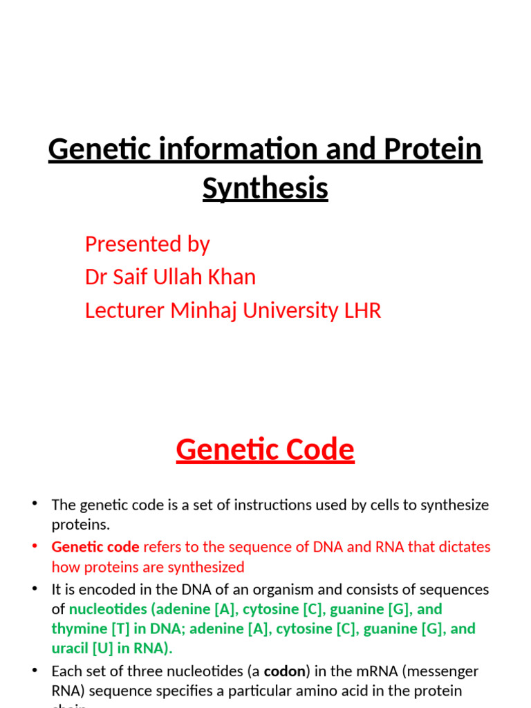 PHMD104 Genetic Information and Protein Synthesis 162697 | PDF | Rna ...