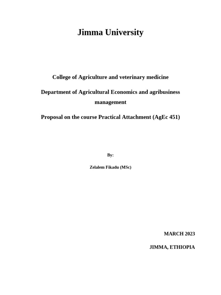 Practical Attachment Manual | PDF | Strategic Planning | Evaluation