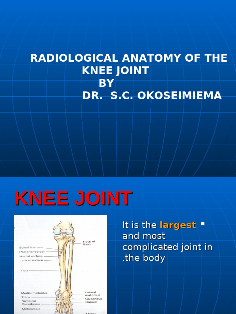 Knee Joint Ligaments and Functions | PDF | Knee | Lower Limb Anatomy