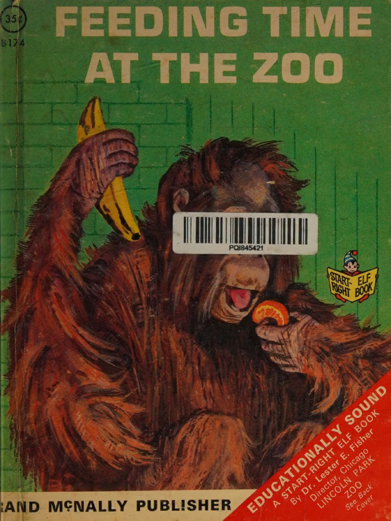 Zoo Feeding Time for Kids | PDF