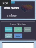 Daftar Gambar Otago Exercise Programme | PDF | Lower Limb Anatomy ...