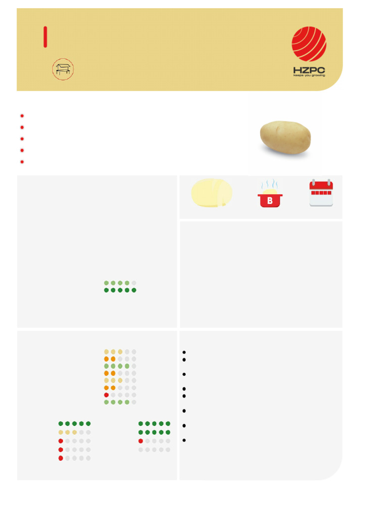 Mondial Potato Production Guide | PDF | Potato | Fertilizer