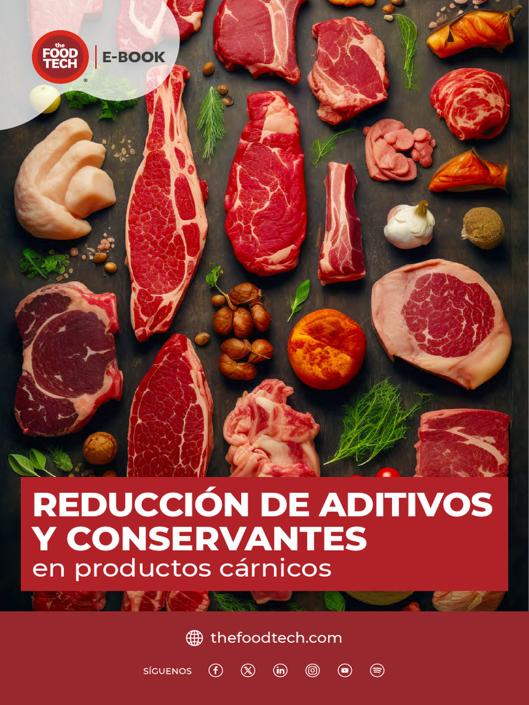 E Book Aditivos Carnicos | PDF | Carne | Alimentos