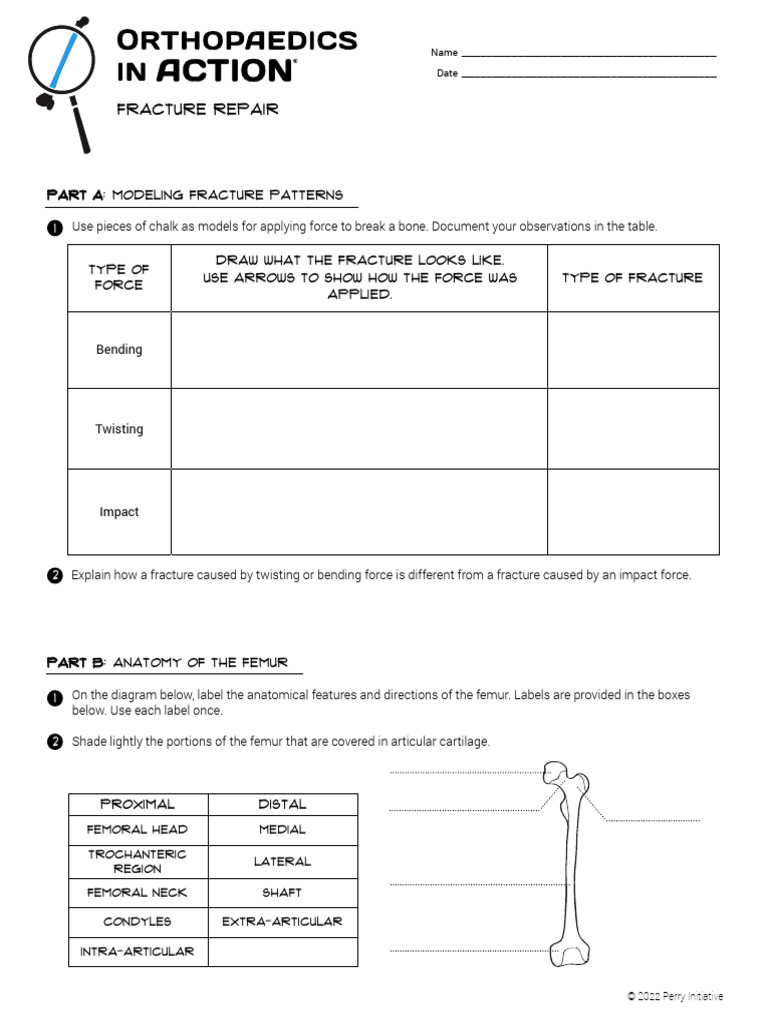 Fracture Types and Repair Analysis | PDF | Musculoskeletal Disorders ...