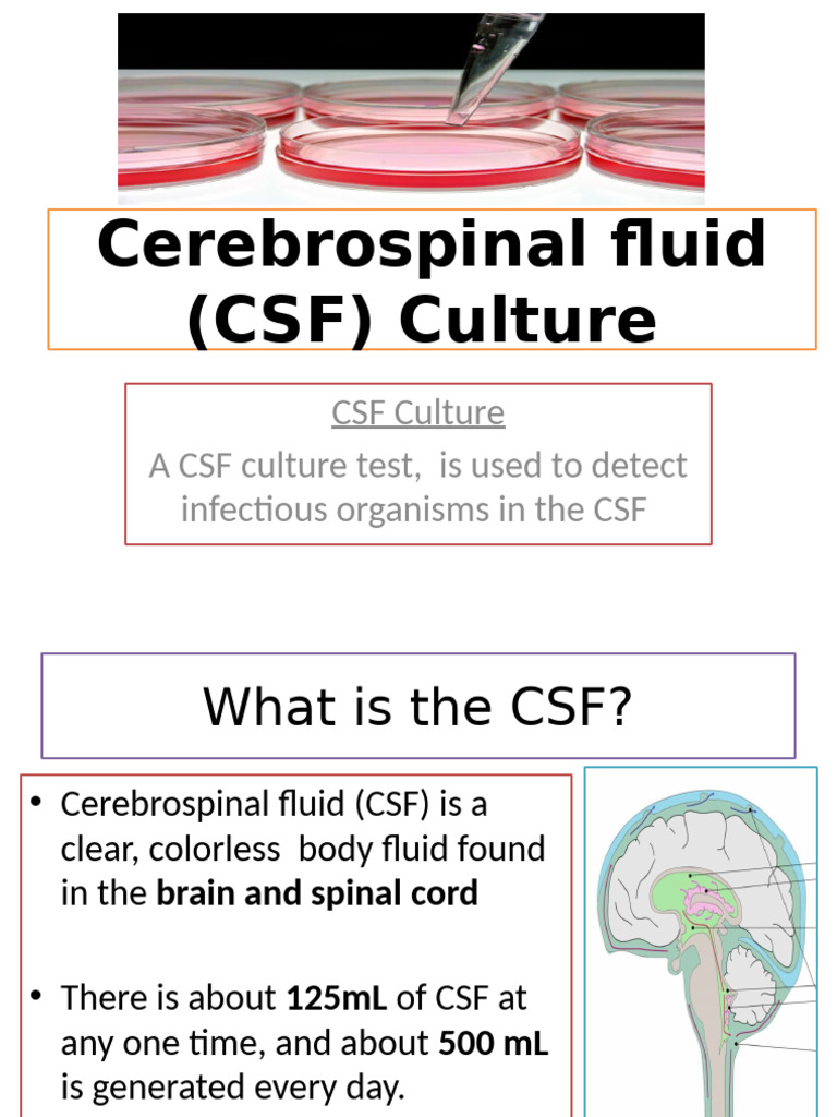 Csf | PDF | Cerebrospinal Fluid | Meningitis
