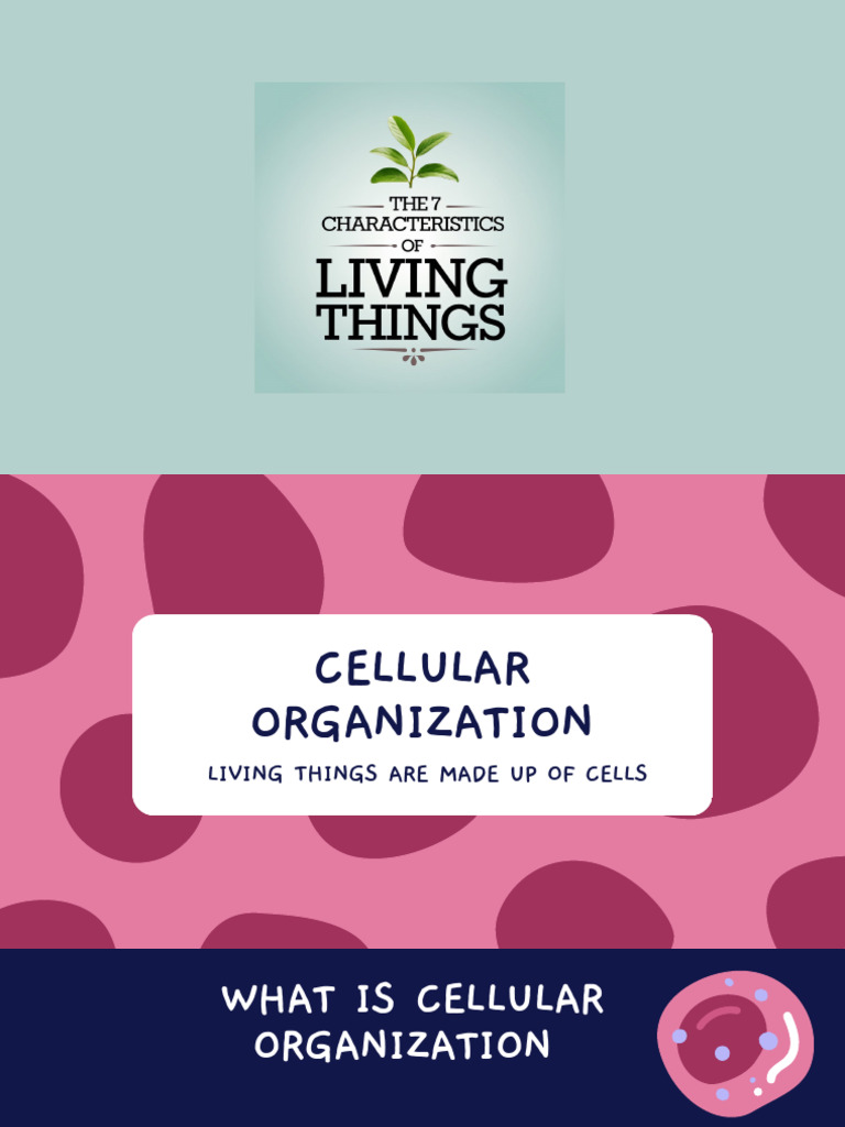 Humans Are Made Up of Cells, Tissues and Organs. | PDF | Reproduction ...