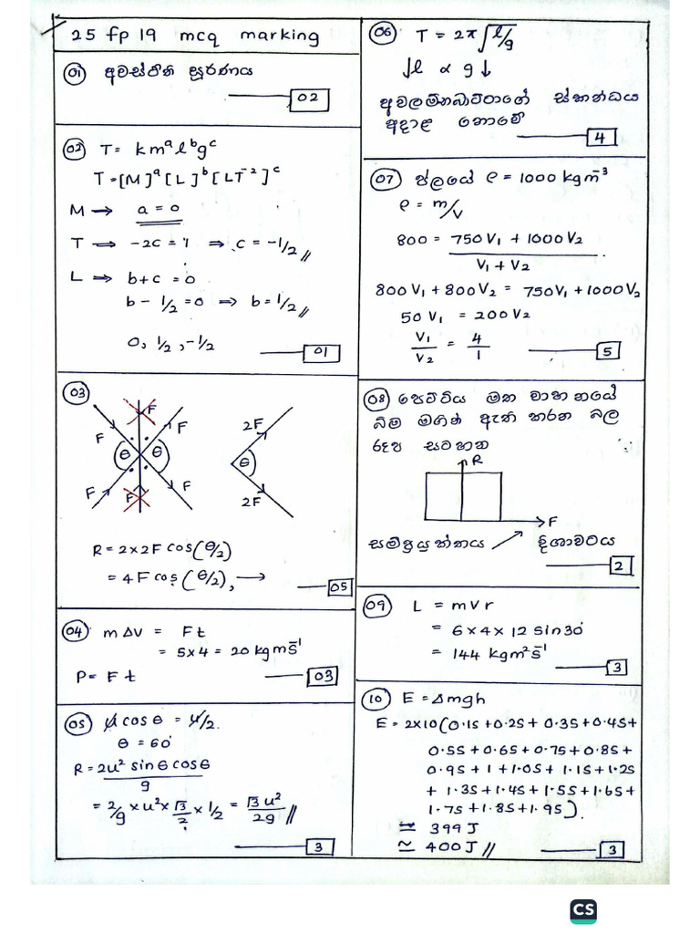 25 FP 19 Marking-1 | PDF
