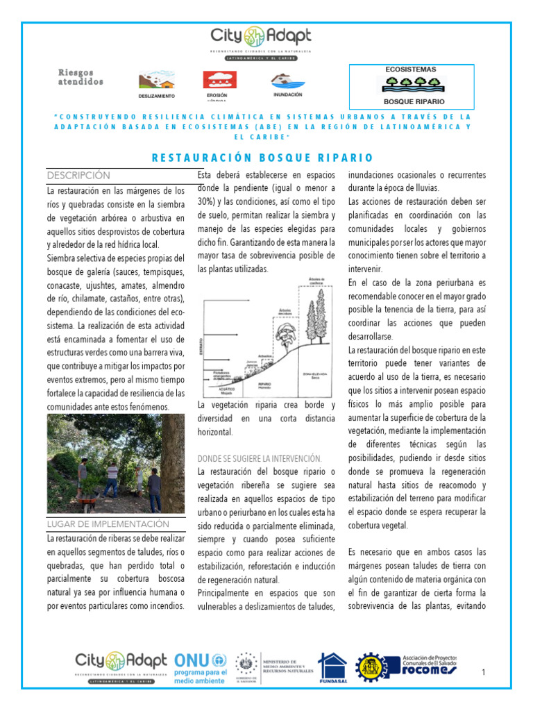 Restauración de Riberas para Resiliencia | PDF | Biogeografia | Entorno ...