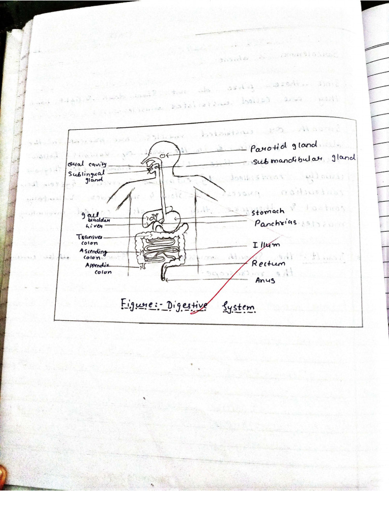 hap journal 7 to 10 | PDF