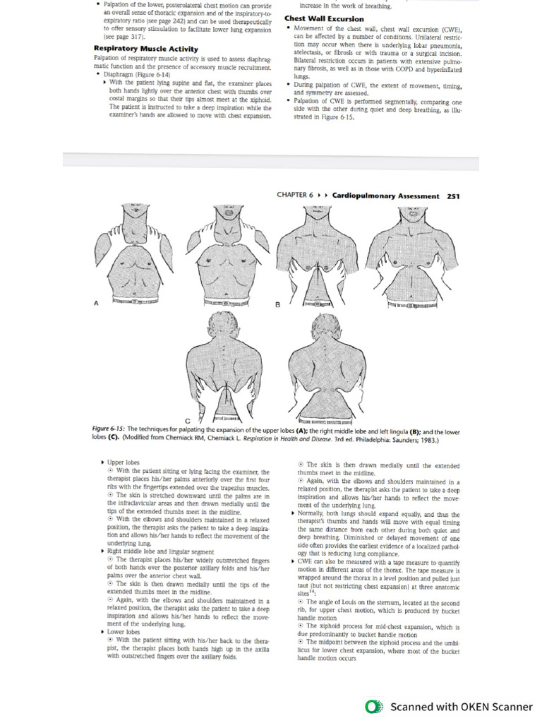 Chest Excursion | PDF