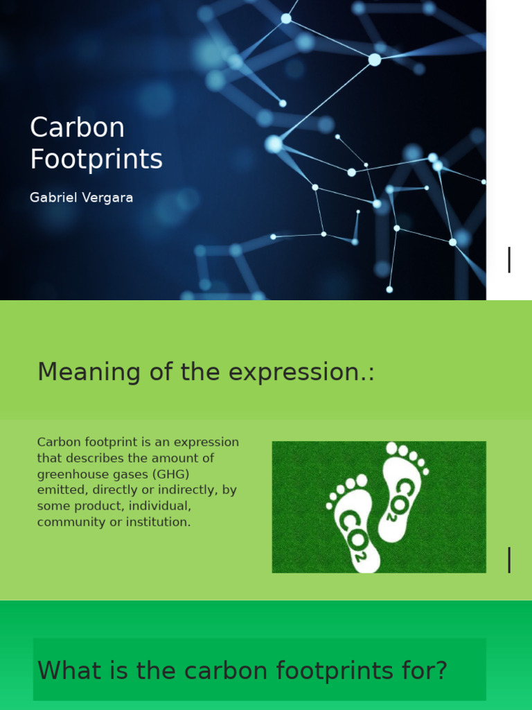 Carbon Footprints | PDF