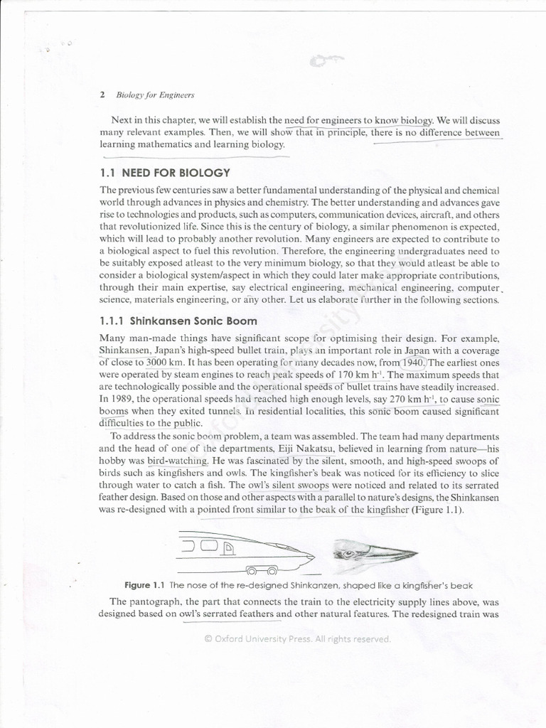 Biology For Engineers - 000087 | PDF