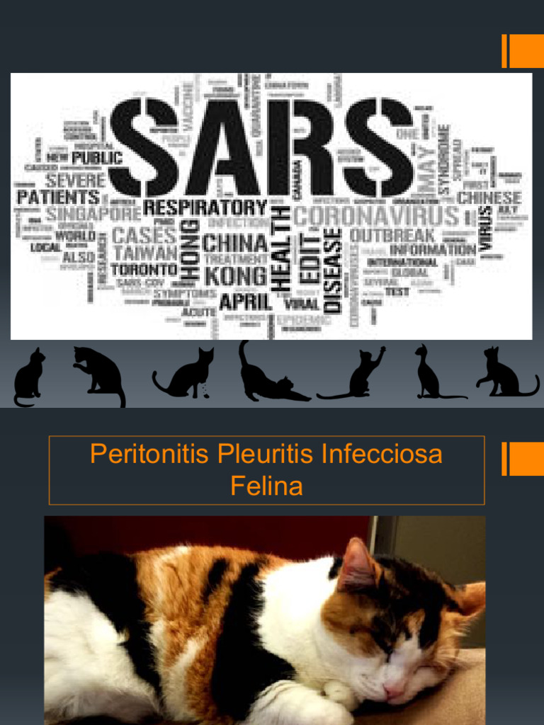 PIF | PDF | Sistema inmune | Gatos