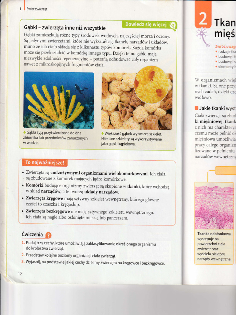 IMG_20250110_0008 | PDF