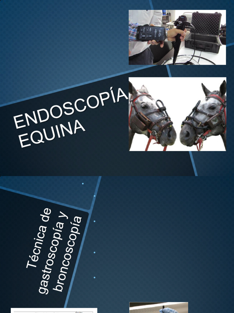 Clase_diagn_stico_6 (endoscopía)-1 | PDF