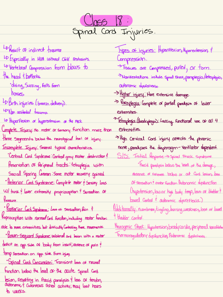 Spinal Cord Cheat Sheet - Med Surg | PDF | Clinical Medicine | Neurology