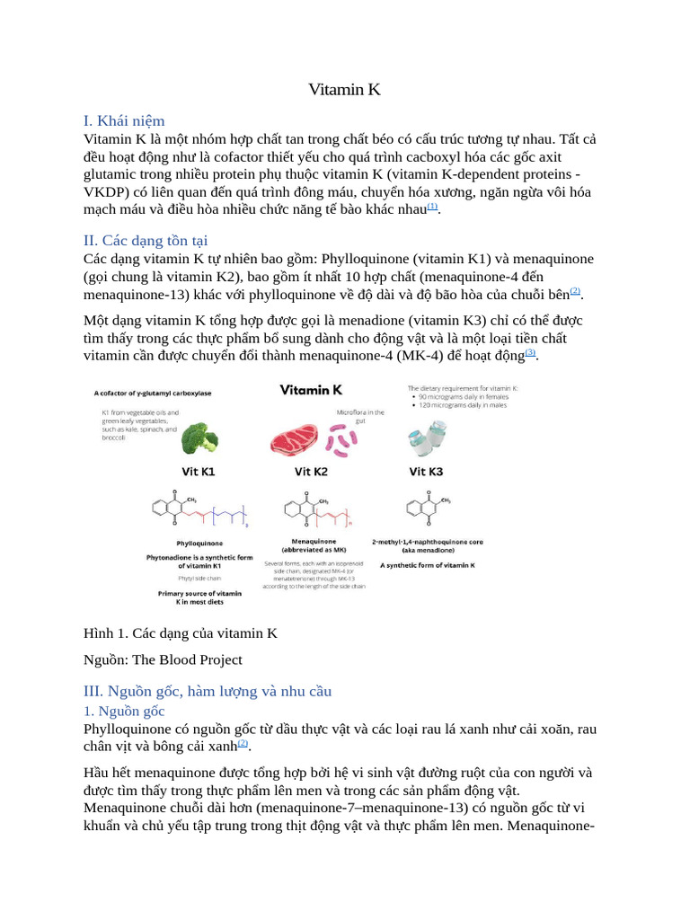 Vitamin K | PDF