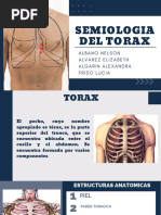 Tipos de Tórax: Normal y Patológicos | PDF | Tórax | Sistema esquelético
