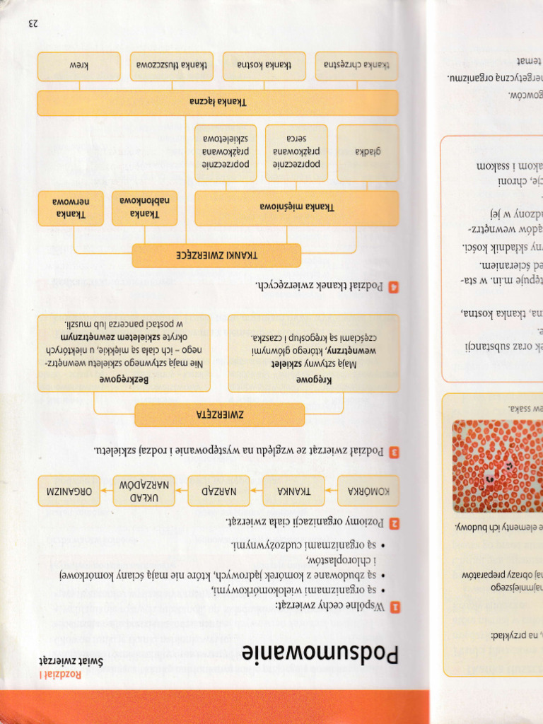 Img 20250110 0021 | PDF