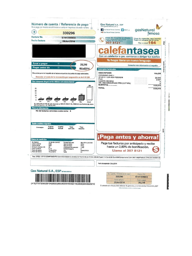 Example Gas Bill | PDF