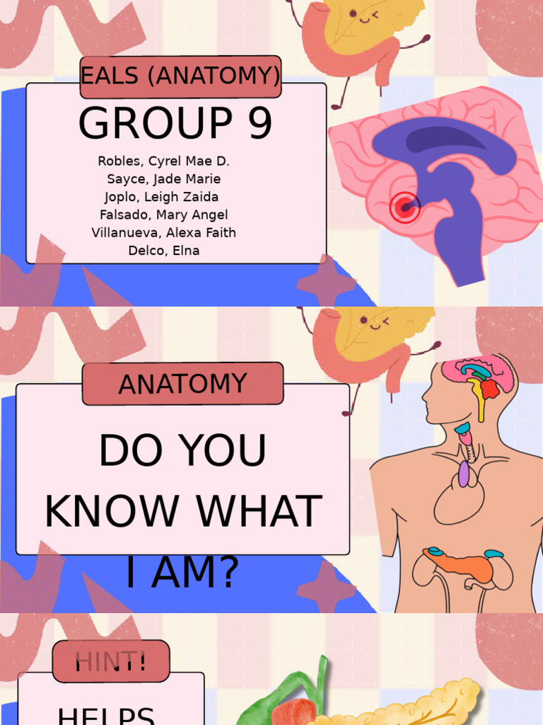 Endocrine System Biology Presentation in A Blue Pink Bold Style | PDF ...